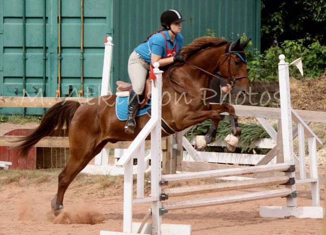 Reaching Strides Equestrian Centre - Staff